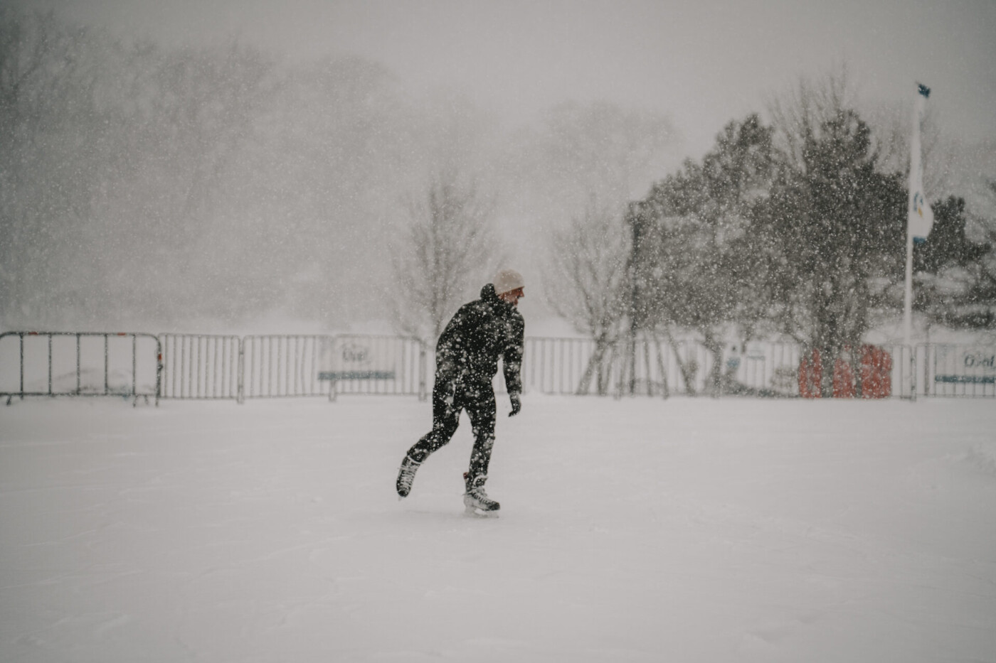 Best Things To Do In Halifax In The Winter | Drink Tea & Travel