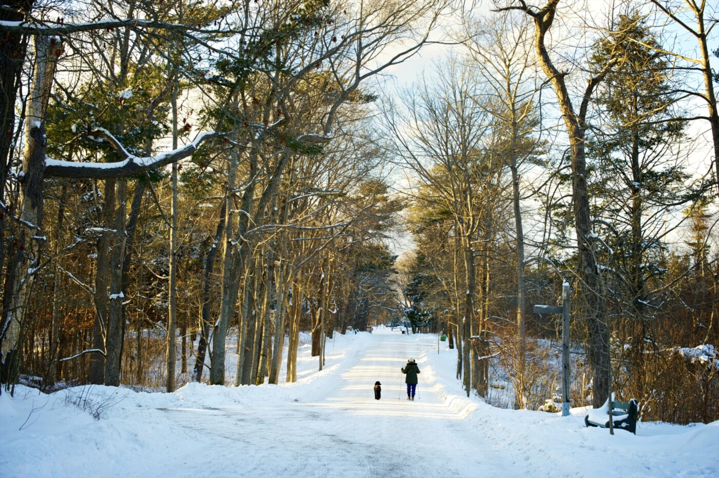 Best Things To Do In Halifax In The Winter | Drink Tea & Travel